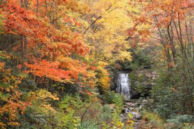 Where to View the Fall Colors at Great Smoky Mountains National Park | Tennessee Smokies ...