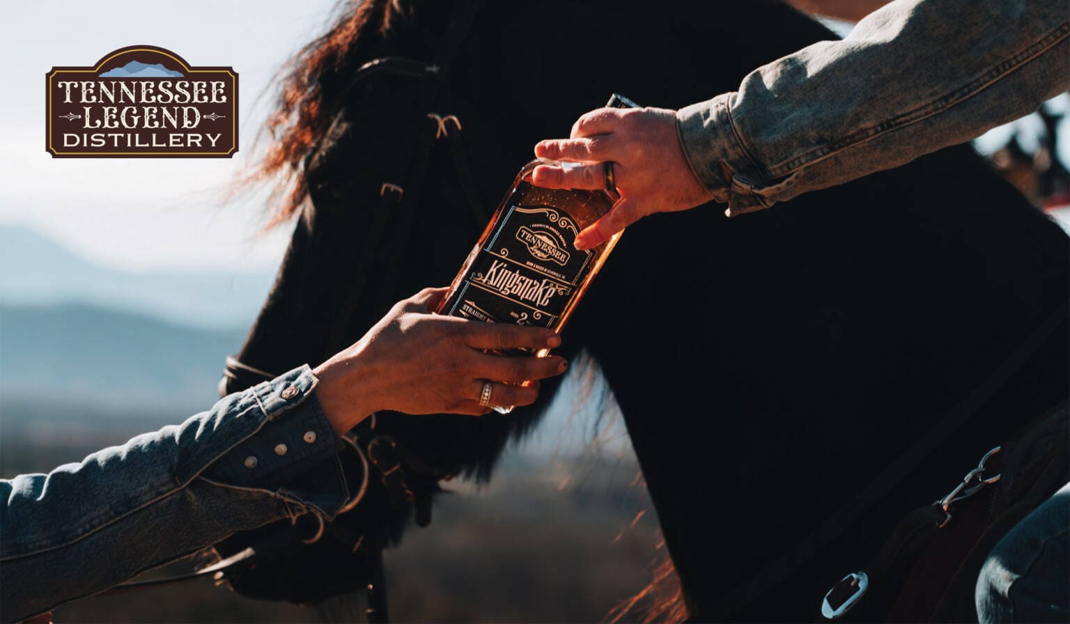 Friends of the Smokies | Tennessee Smokies Visitors Guide